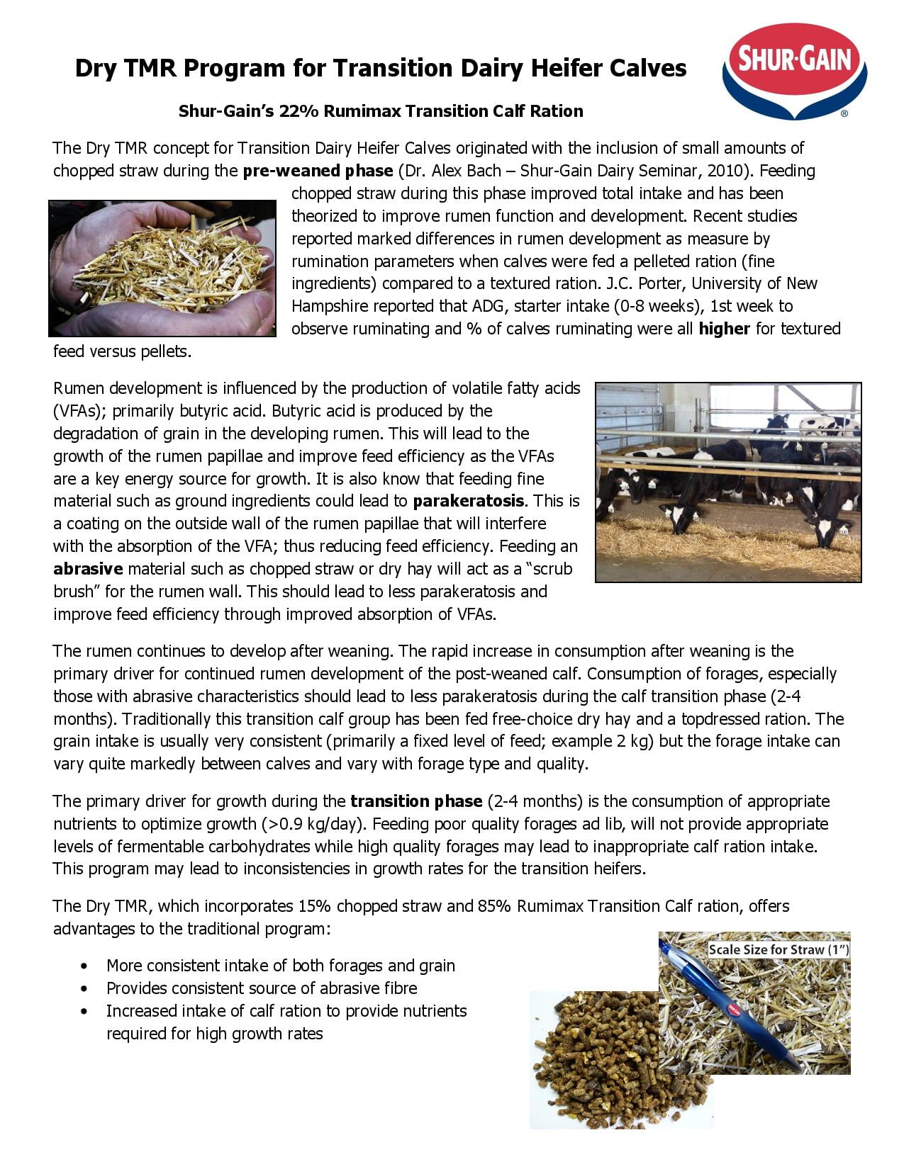 DRY TMR PROGRAM FOR TRANSITION DAIRY HEIFER CALVES | Wright's Feeds 'N ...